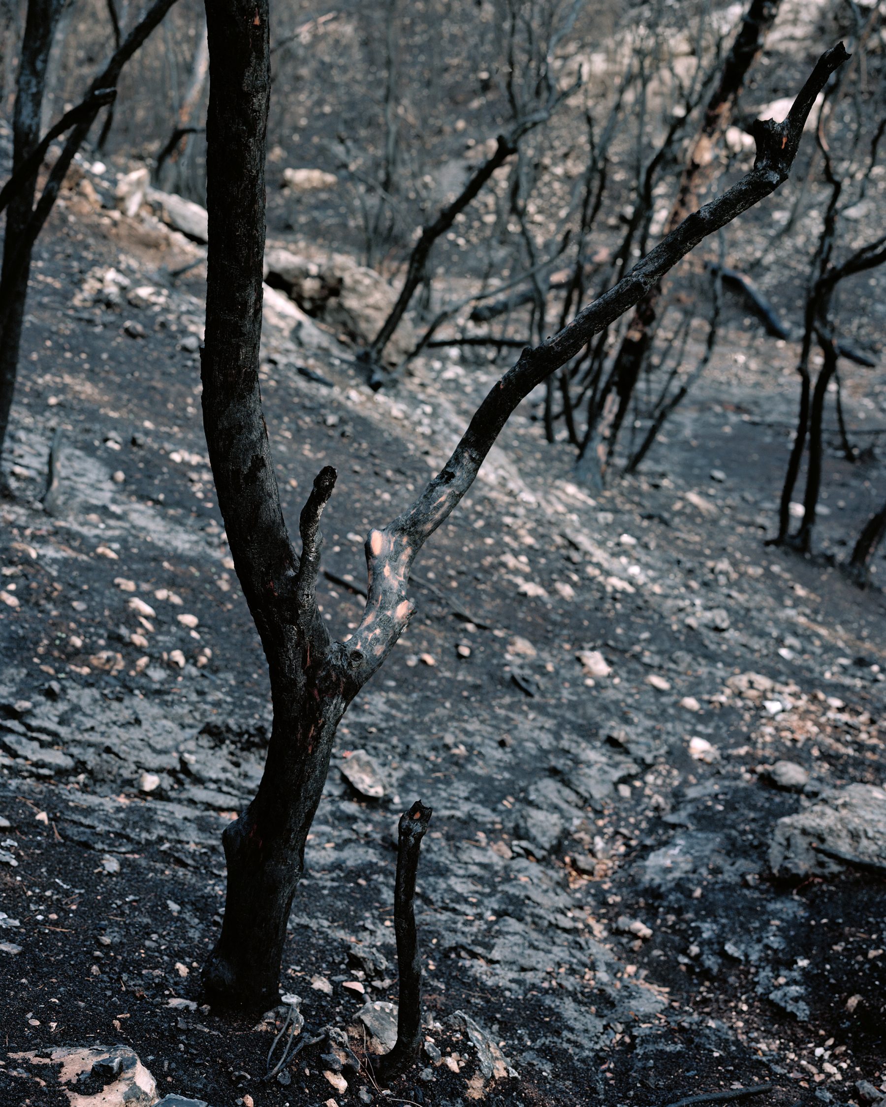 Lie Fallow. - Stillpoint Magazine