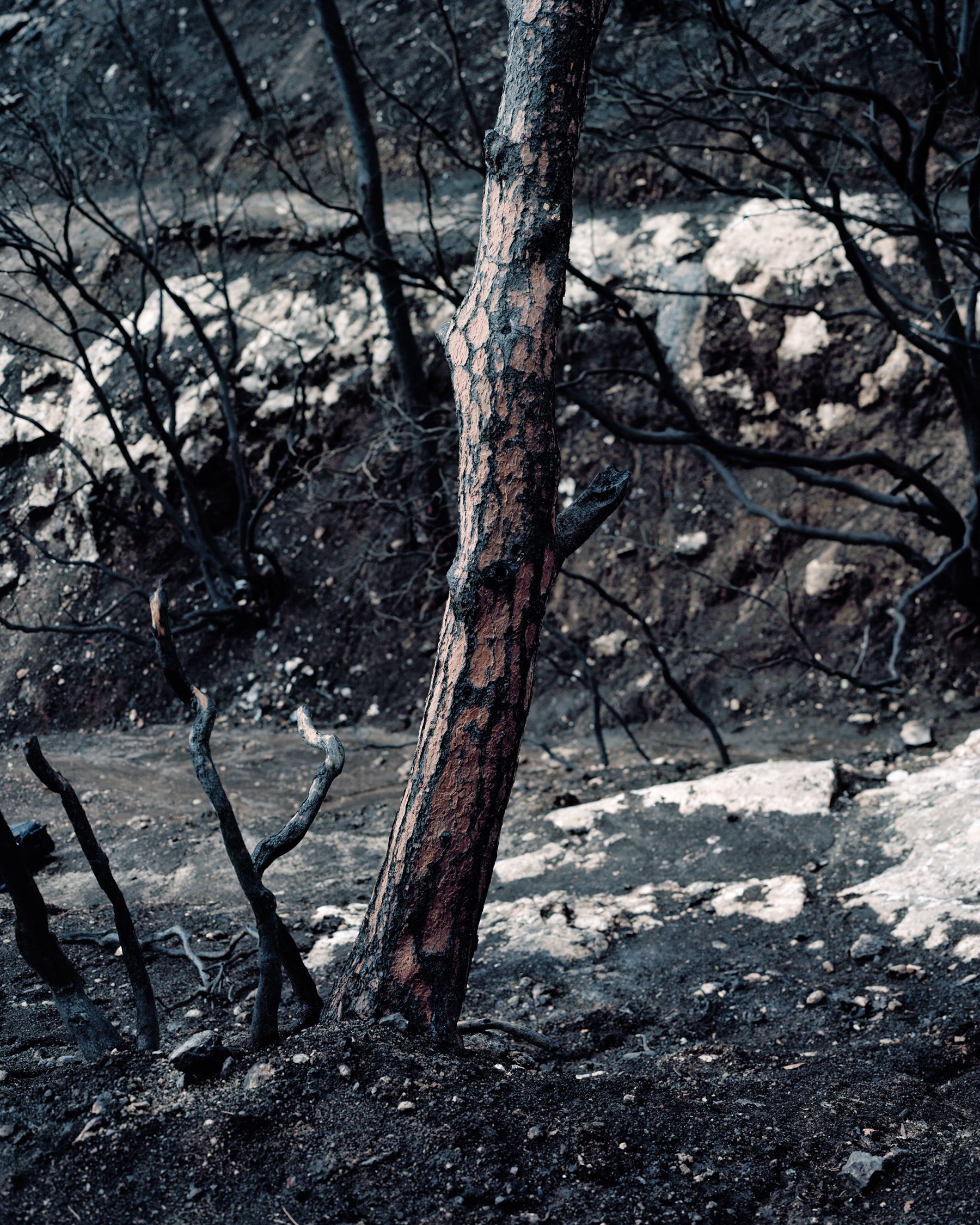 Lie Fallow. - Stillpoint Magazine