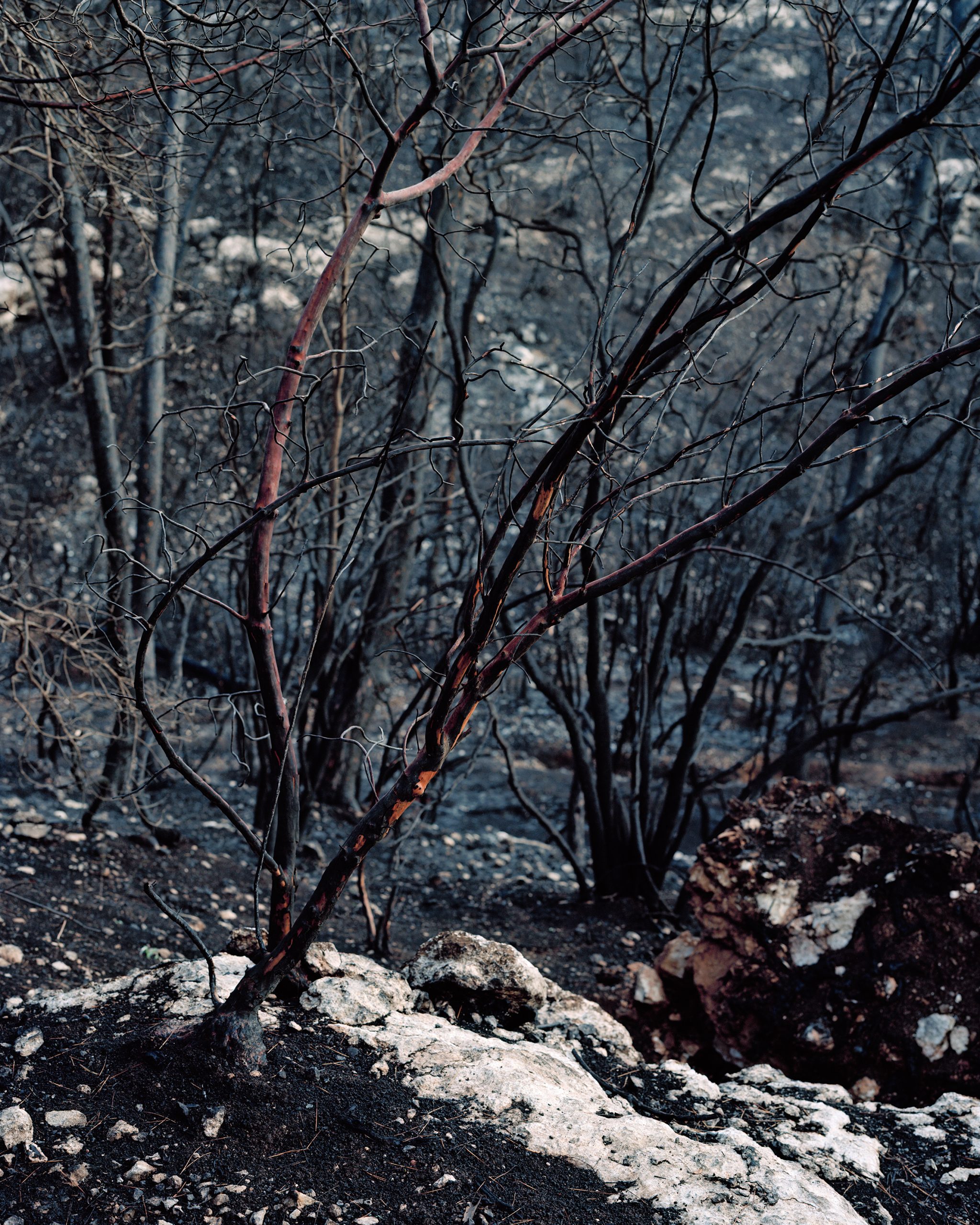 Lie Fallow. - Stillpoint Magazine